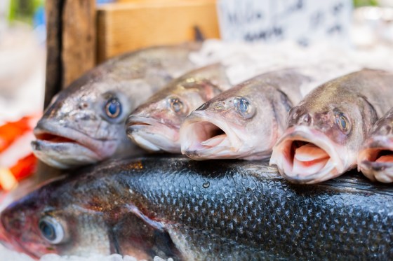 All Fresh Fish: Sea Bass (Wild) - Whole (Medium)